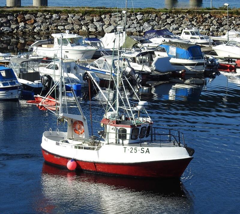 TORSKEN - Vesseljoin