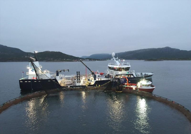 RONJA EXPLORER - Vesseljoin