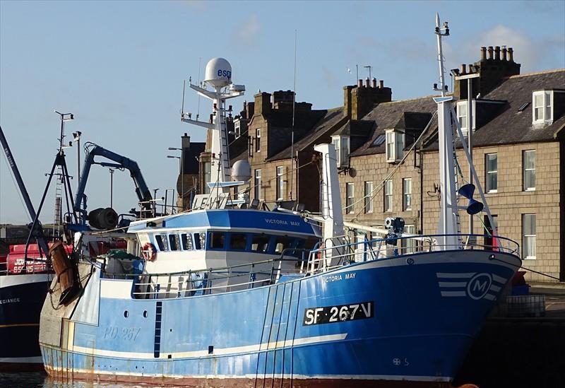 VICTORIA MAY - Vesseljoin