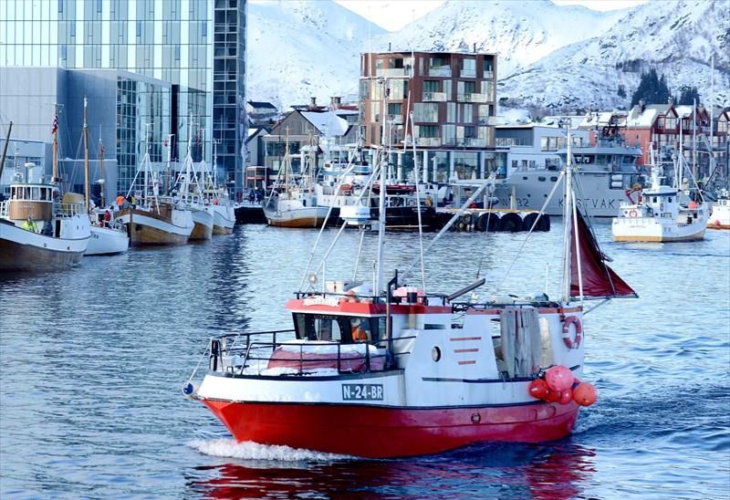 LISA BELL - Vesseljoin