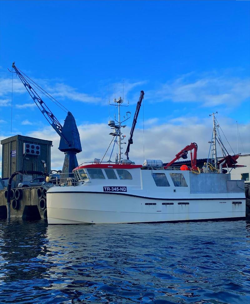 NERGARD JR - Vesseljoin