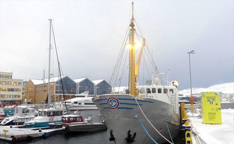 GAMLE MAROY - Vesseljoin