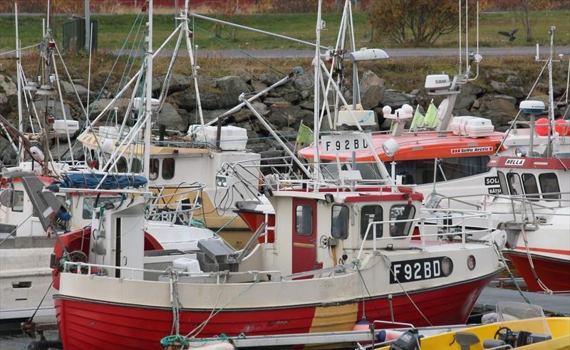 REX LOBO F 92 BD - Vesseljoin