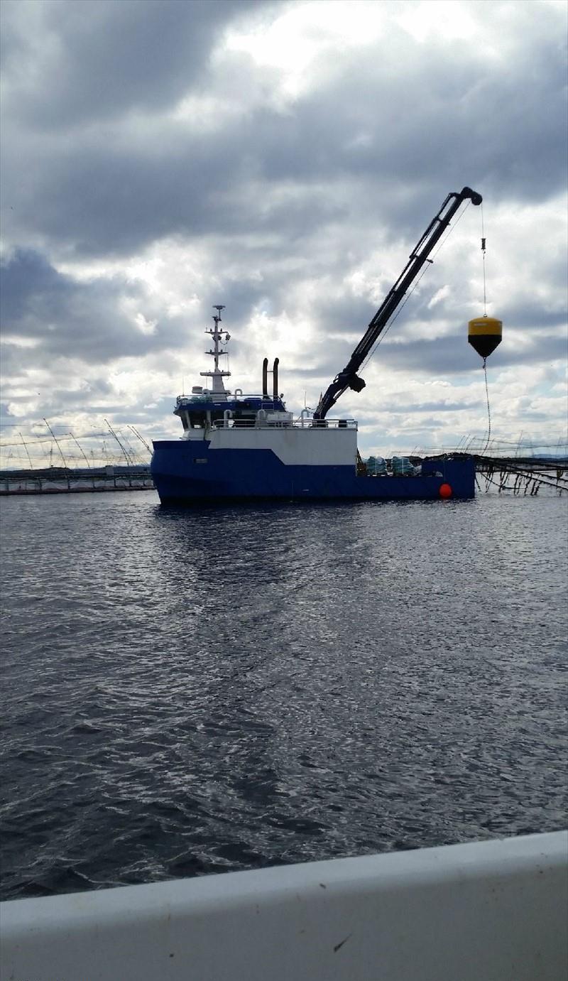 STAALBJOERN - Vesseljoin