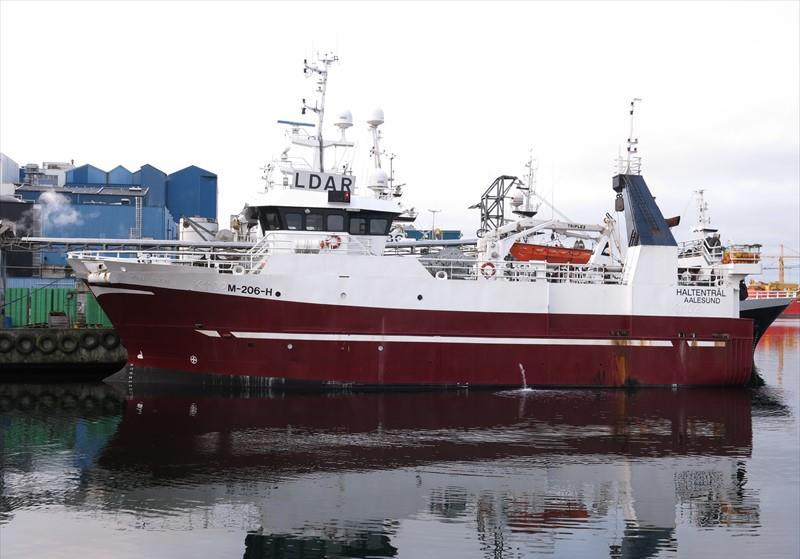 HALTENTRAAL - Vesseljoin