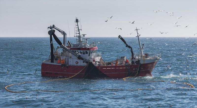 STOREGG - Vesseljoin