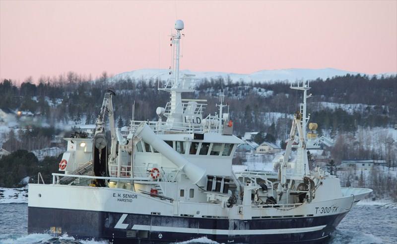 IDA AMALIE - Vesseljoin