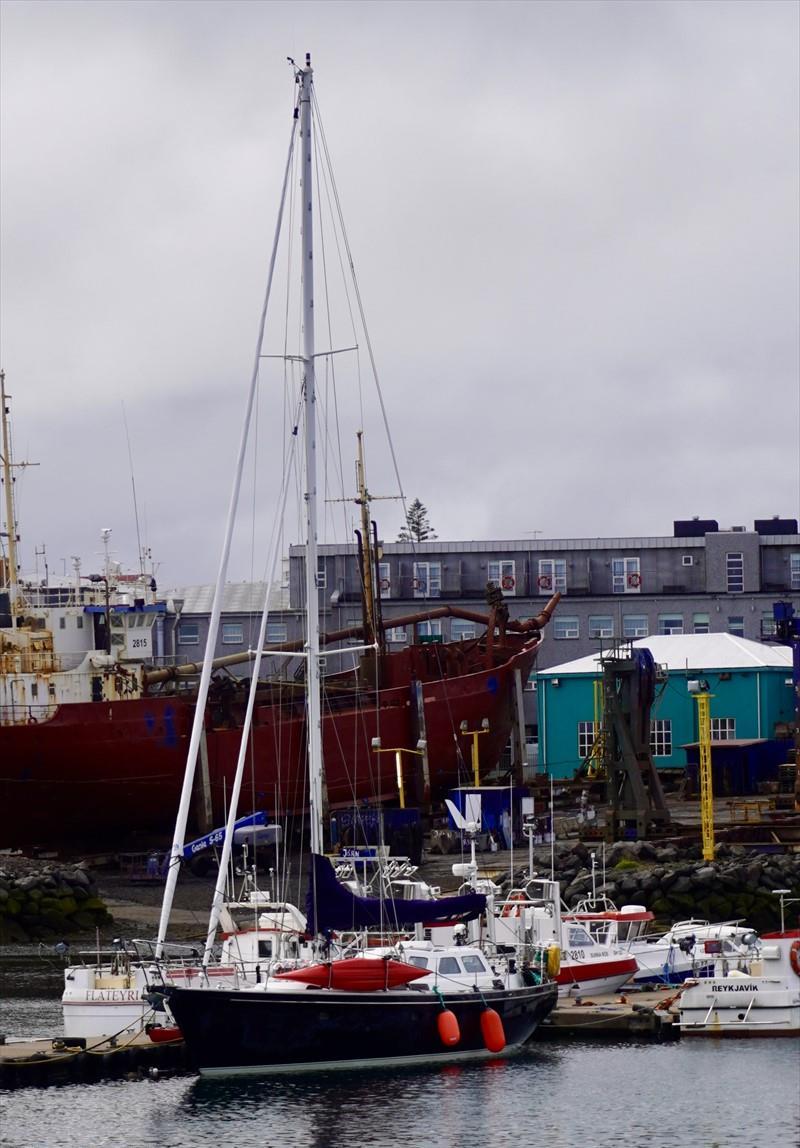 LILLE POLARIS - Vesseljoin