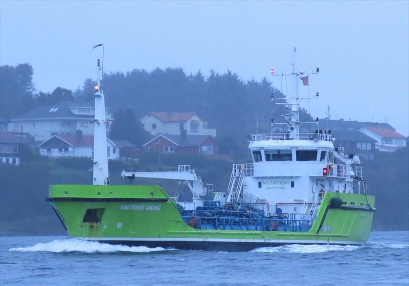 HALTBAKK VIKING - Vesseljoin