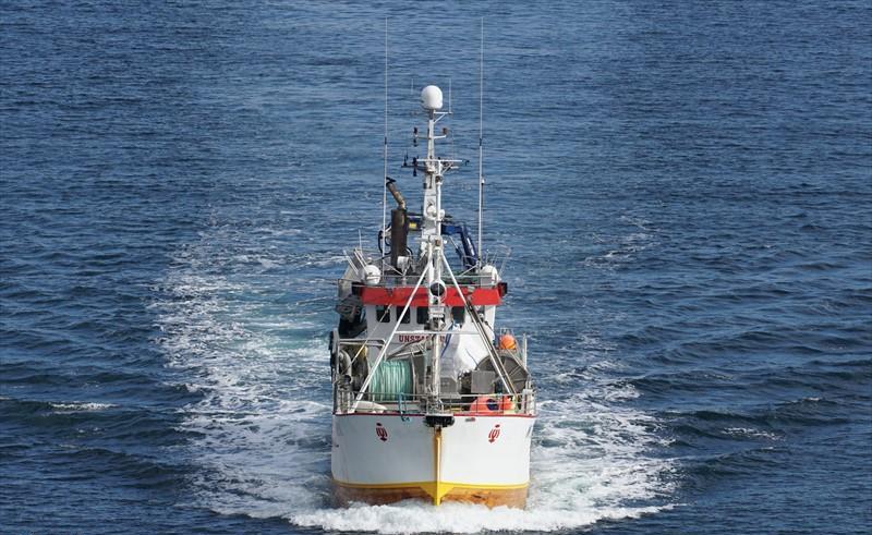 UNSTAD JUNIOR - Vesseljoin