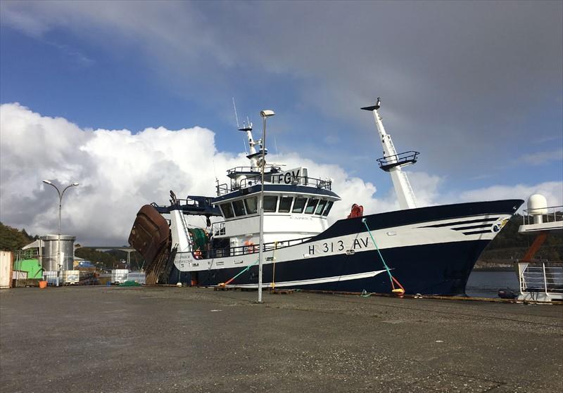 CAPRICE - Vesseljoin