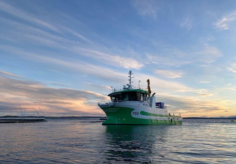 MULTI ENERGY - Vesseljoin