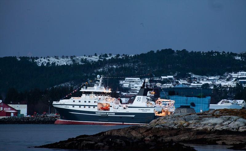 OLYMPIC PRAWN - Vesseljoin