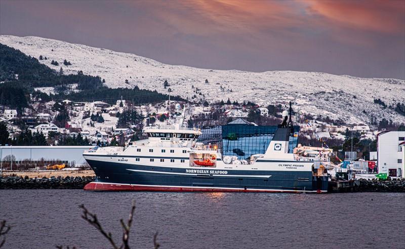 OLYMPIC PRAWN - Vesseljoin