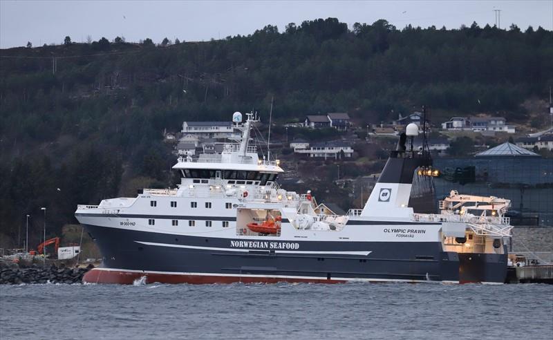 OLYMPIC PRAWN - Vesseljoin