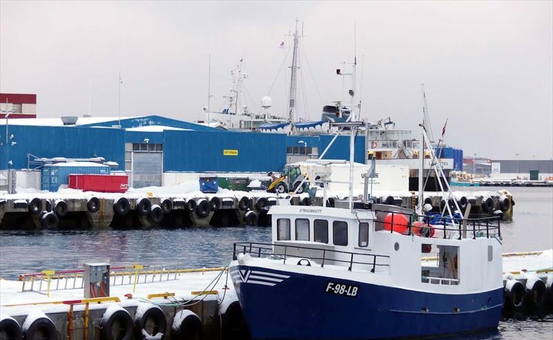 FRIDA MARIA - Vesseljoin