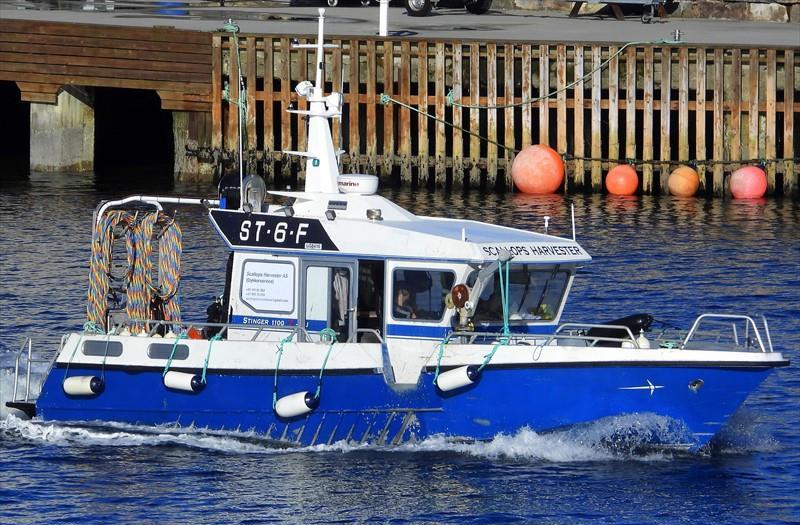 SCALLOPS HARVESTER - Vesseljoin