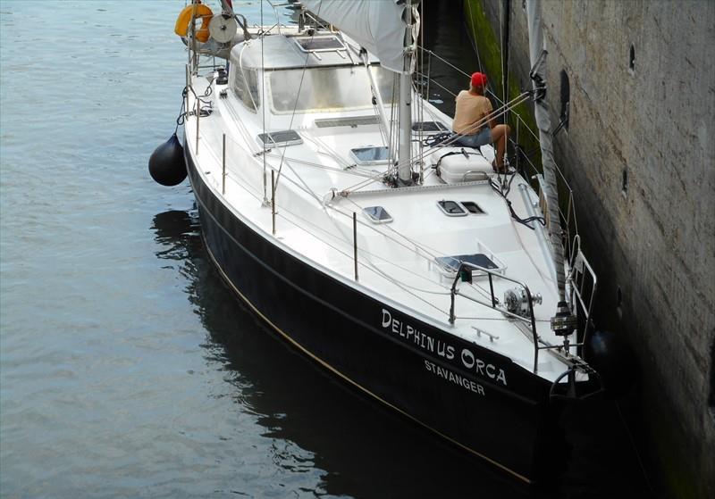 DELPHINUS ORCA - Vesseljoin