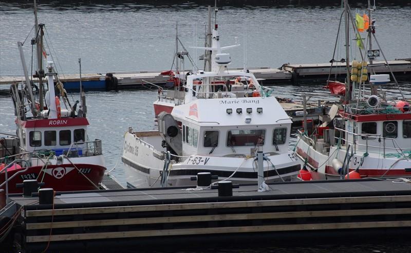 MARIE BANG - Vesseljoin