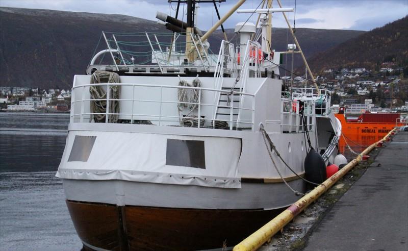 GAMLE KVALSTEIN - Vesseljoin