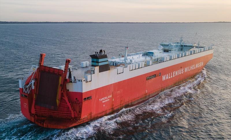 TAMERLANE - Vesseljoin