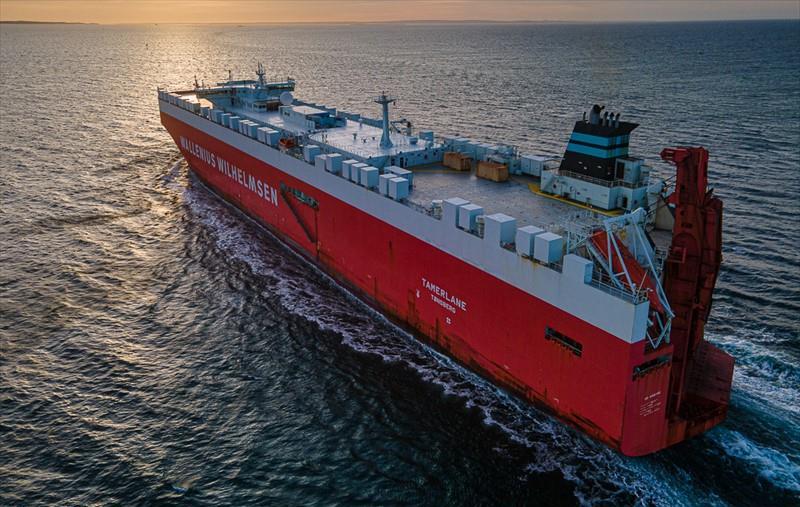 TAMERLANE - Vesseljoin