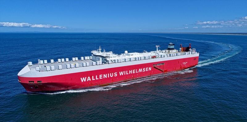 TAMERLANE - Vesseljoin