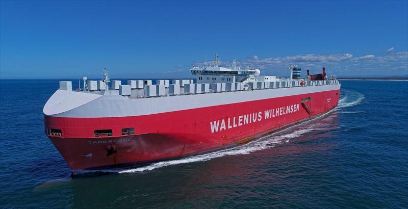 TAMERLANE - Vesseljoin