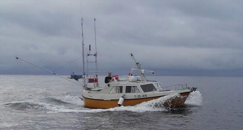 MAJA SOFIE - Vesseljoin