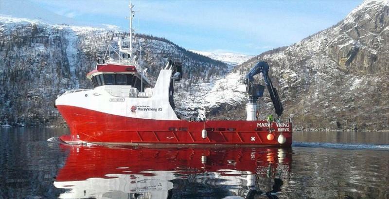 MAROY VIKING - Vesseljoin