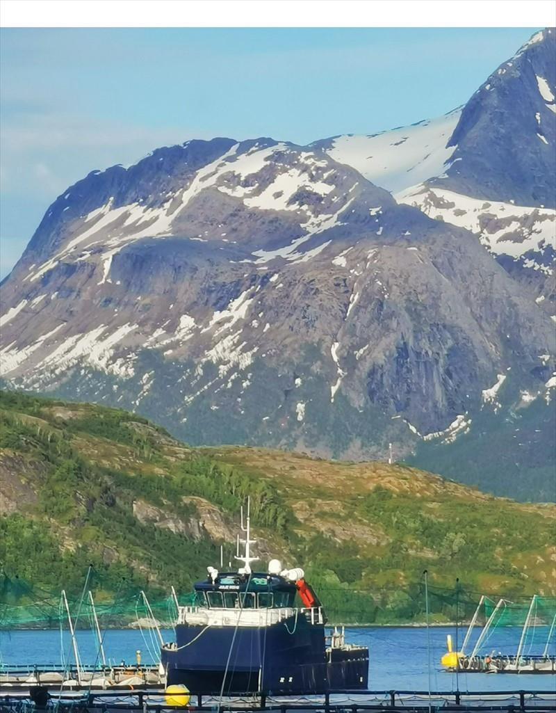 JULIE SOFIE - Vesseljoin