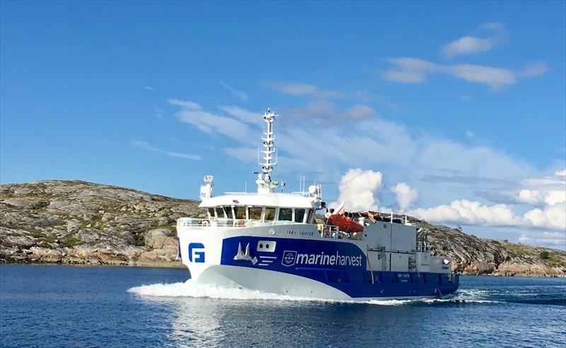 FROY FIGHTER - Vesseljoin