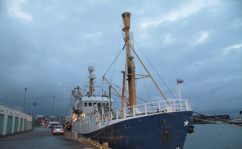 MANIITSOQ - Vesseljoin