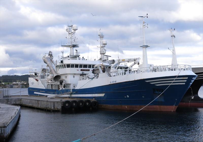 STEINEVIK - Vesseljoin