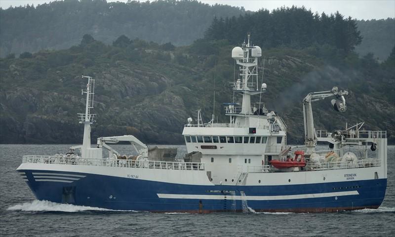 STEINEVIK - Vesseljoin