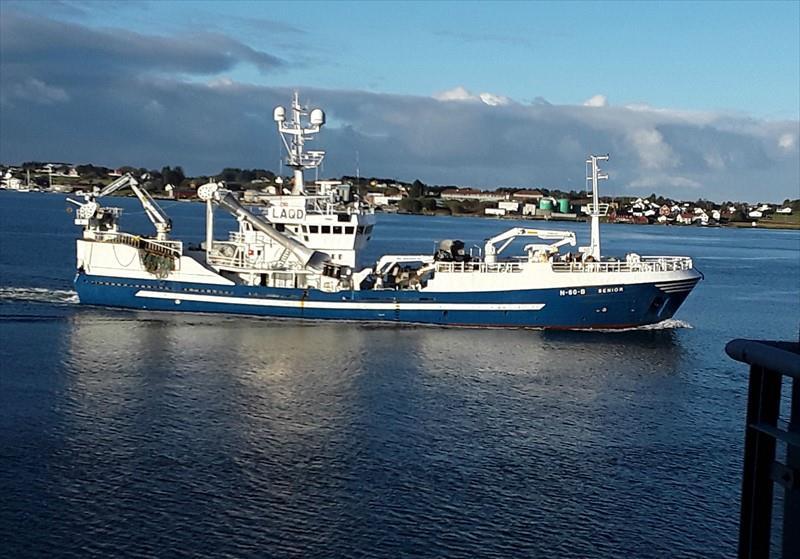 STEINEVIK - Vesseljoin