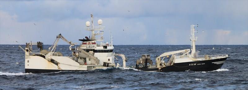 GERDA MARIE - Vesseljoin