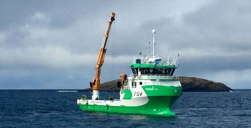 MULTI SAFETY - Vesseljoin