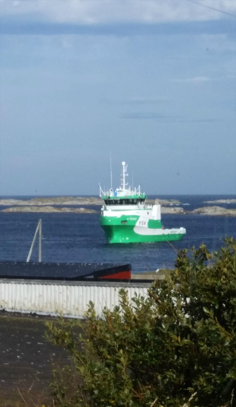 MULTI SAFETY - Vesseljoin