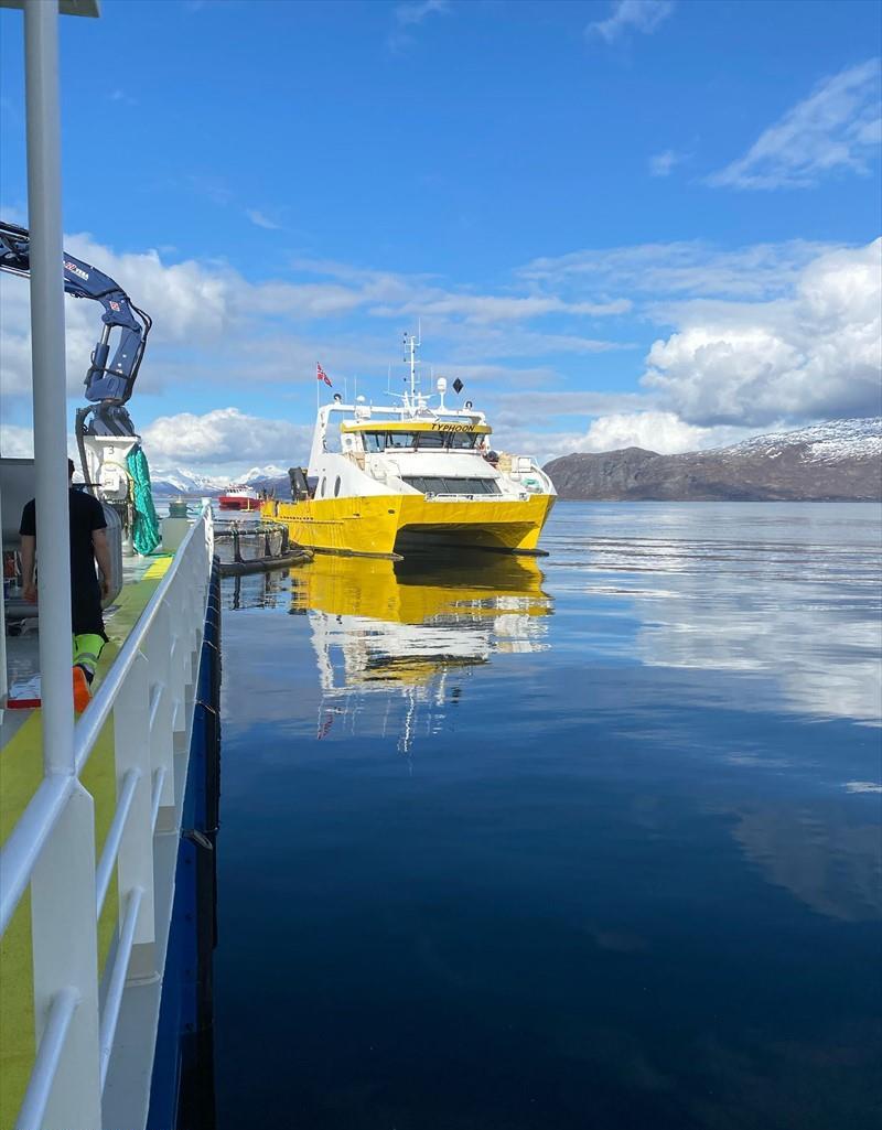 TYPHOON - Vesseljoin