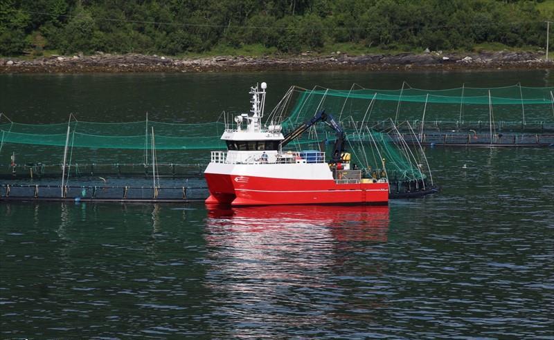 NOVA VIKING - Vesseljoin