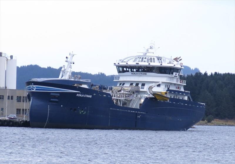 RONJA STRAND - Vesseljoin