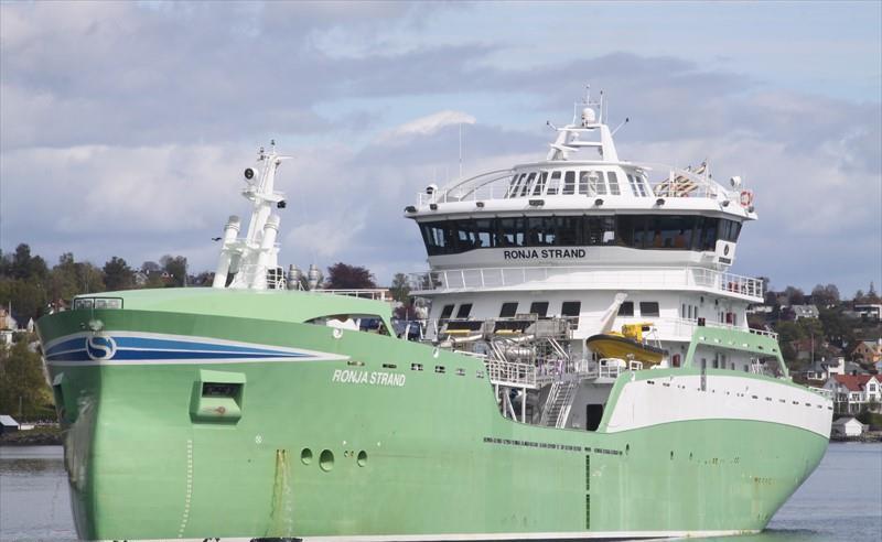 RONJA STRAND - Vesseljoin