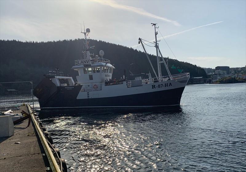 SKARHOLM - Vesseljoin