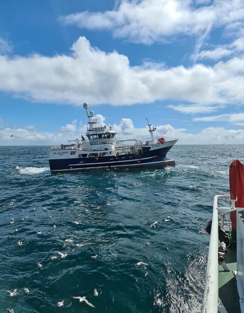 BREIVIK JUNIOR - Vesseljoin