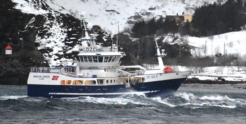 BREIVIK JUNIOR - Vesseljoin