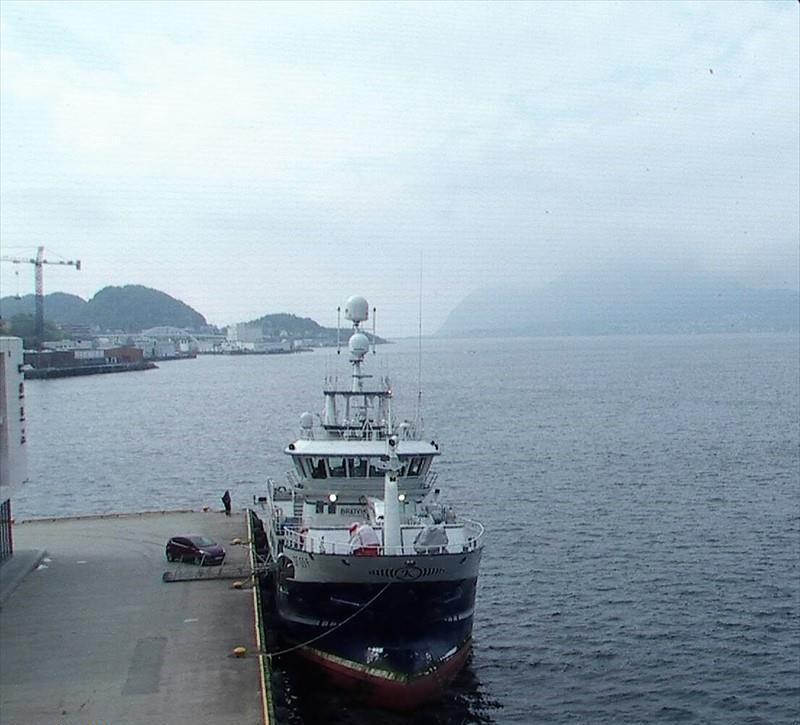 BREIVIK JUNIOR - Vesseljoin