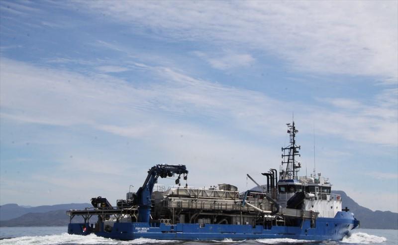 FROY MERLIN - Vesseljoin