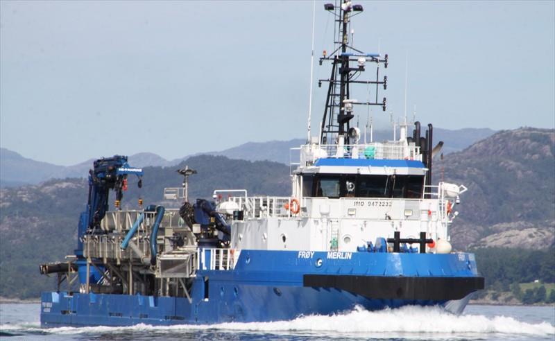 FROY MERLIN - Vesseljoin