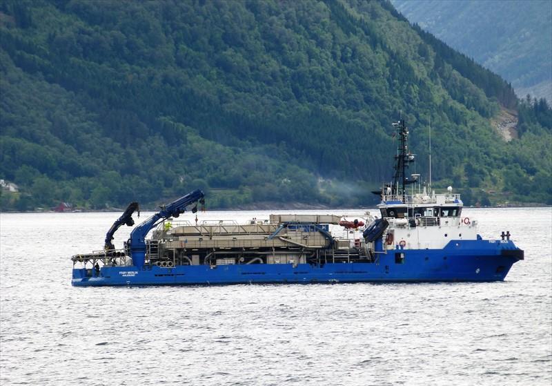 FROY MERLIN - Vesseljoin